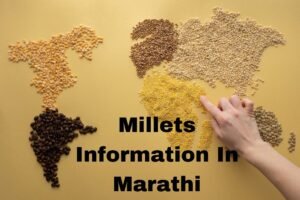 मिलेट्स ची संपूर्ण माहिती मराठी Millets Information In Marathi