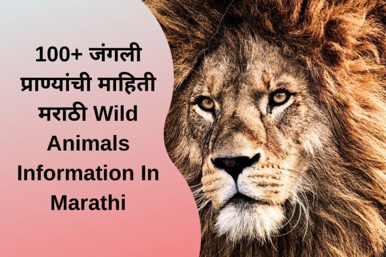 100+ जंगली प्राण्यांची माहिती मराठी Wild Animals Information In Marathi
