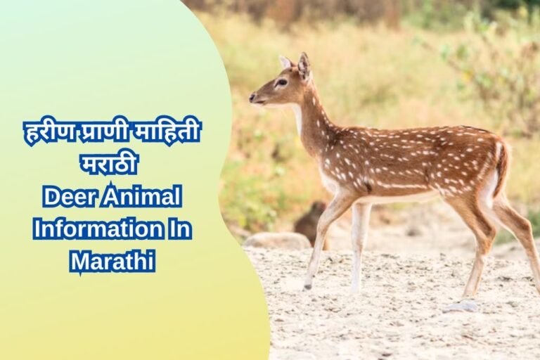 हरीण प्राणी माहिती मराठी Deer Animal Information In Marathi
